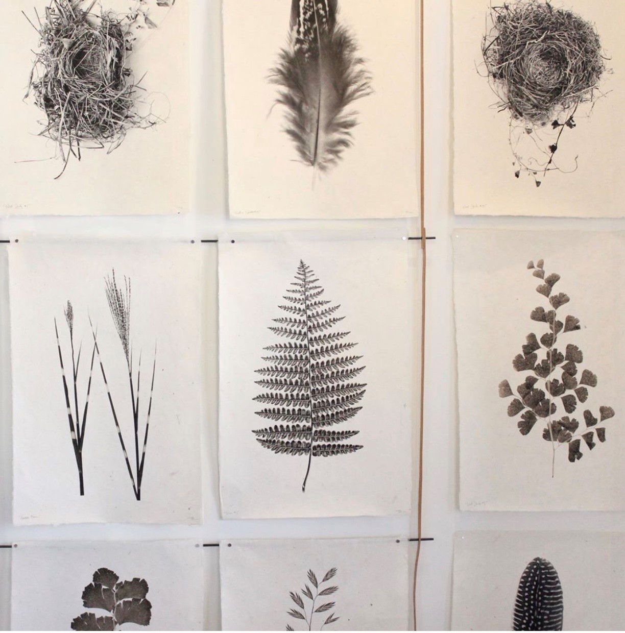 Decorating With Nature - Form & Function - Asheville NC