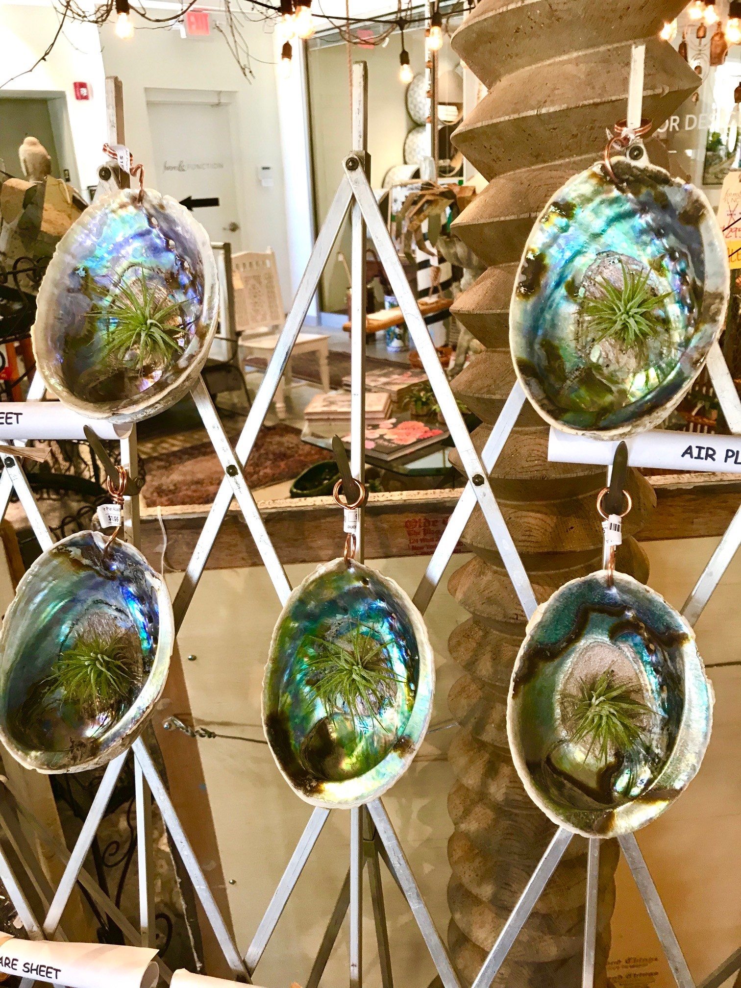 Decorating With Nature - Form & Function - Asheville NC