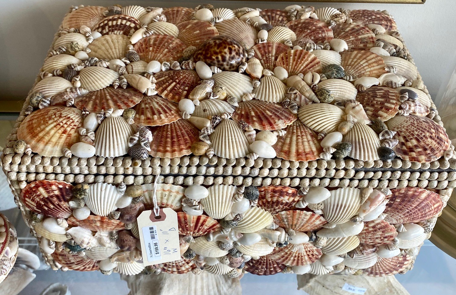 Extra Large Shell Box - Form & Function - Asheville NC